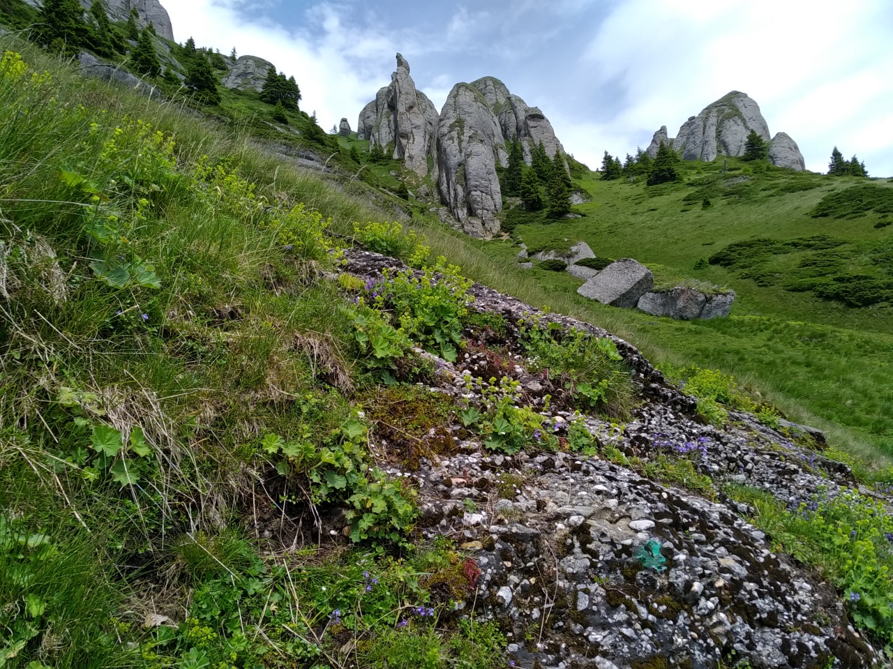 poze_ciucas_asus_zenfone_zoom_s_44