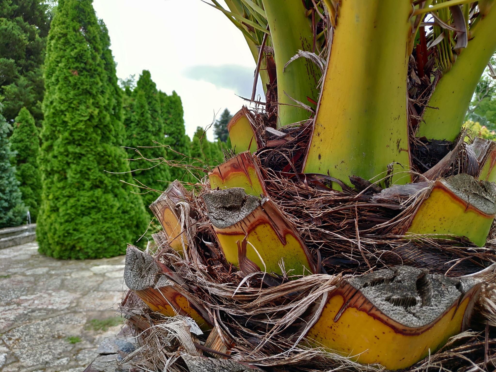 Grădina Botanică și Castelul Reginei Maria, în Balchik