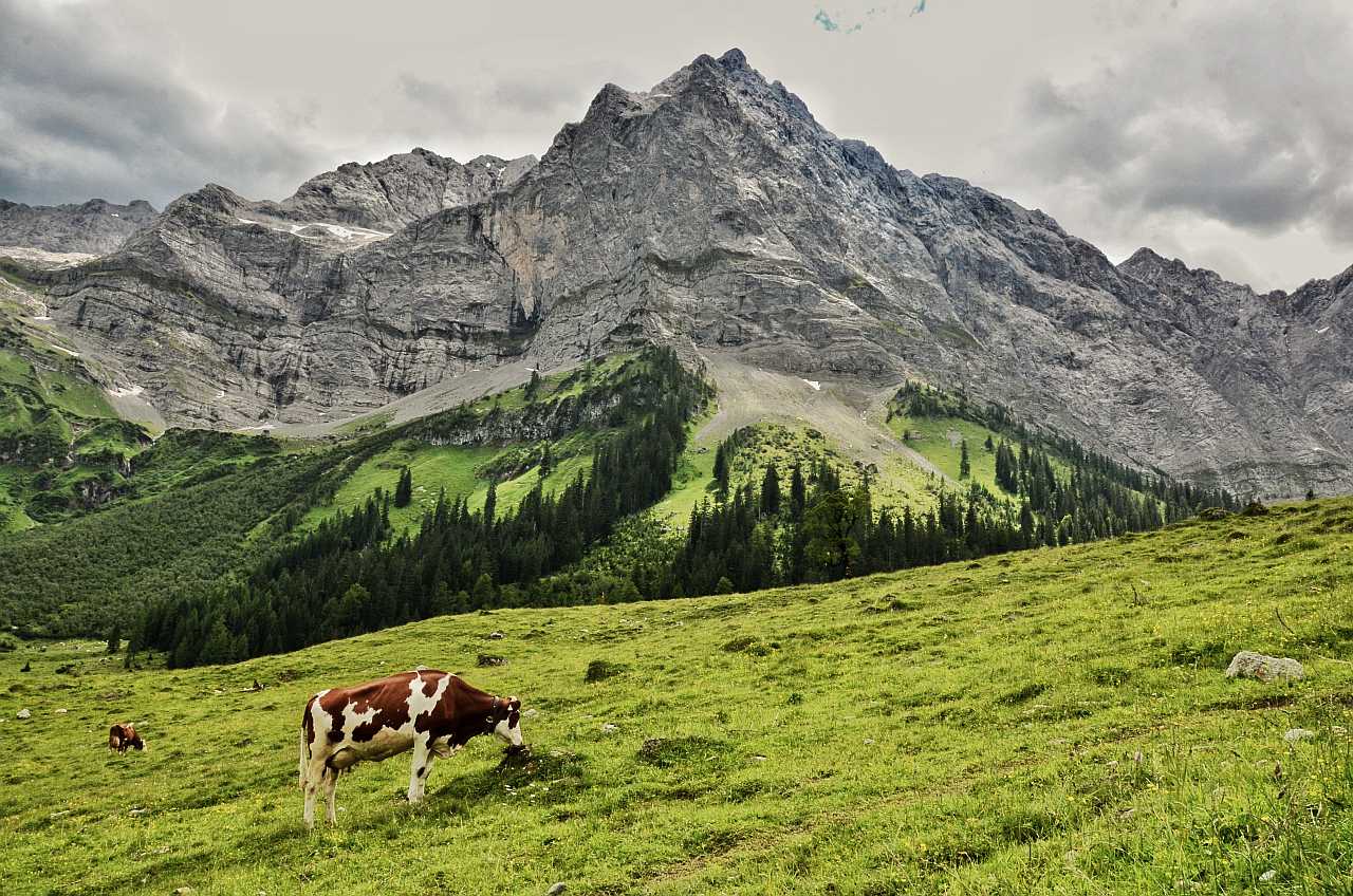 landscape_peisaje_austria_ostereich_18