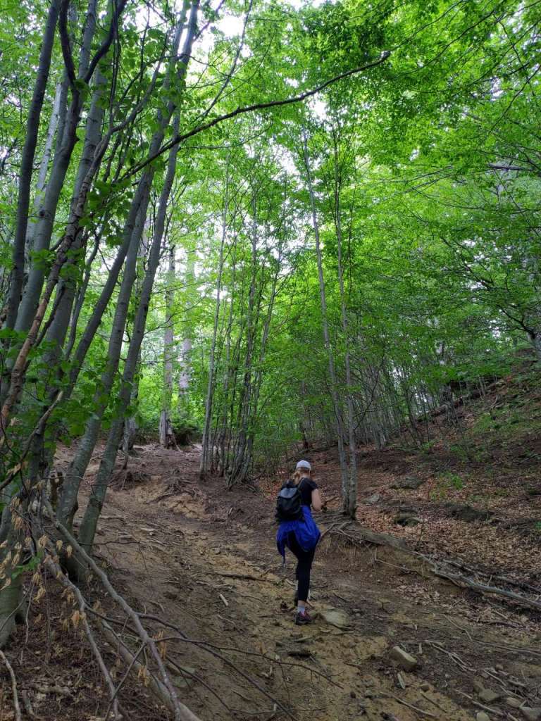 drumetie-lacul-vulturilor-muntii-siriului-valea-neagra-60