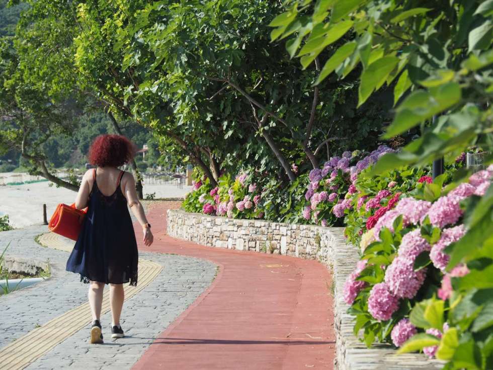 Plaje frumoase la Muntele Pelion în regiunea Volos, pentru o frumoasă ...